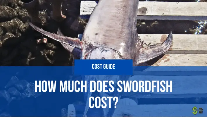How Much Does Swordfish Cost? - How much does cost?
