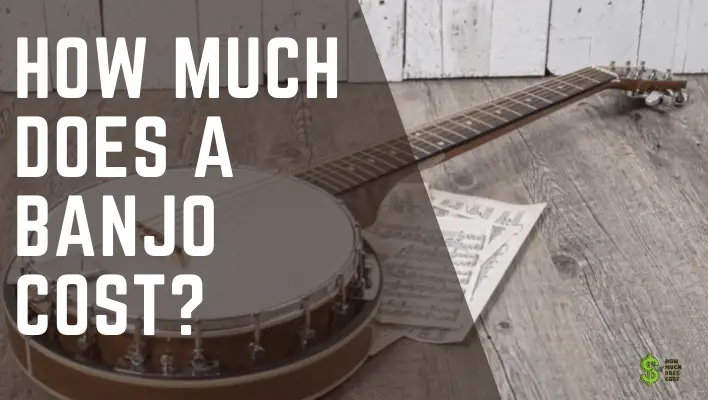 How Much Does a Banjo Cost?(In-Depth Guide) - How much does cost?