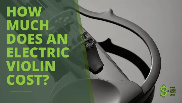 How Much Does An Electric Violin Cost? (Final) - How much does cost?