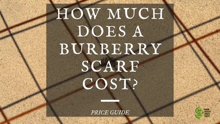 How Much Does A Burberry Scarf Cost? [In-Depth] - How much does cost?